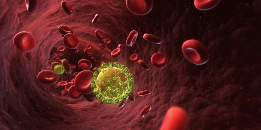 The HIV Lifecycle: How HIV Enters Our Body and Reproduces | Curious Chaser